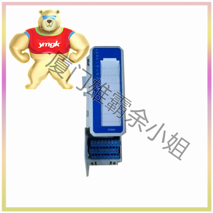 ABB DO890 3BSC690074R1 Industrial module – 厦门雄霸